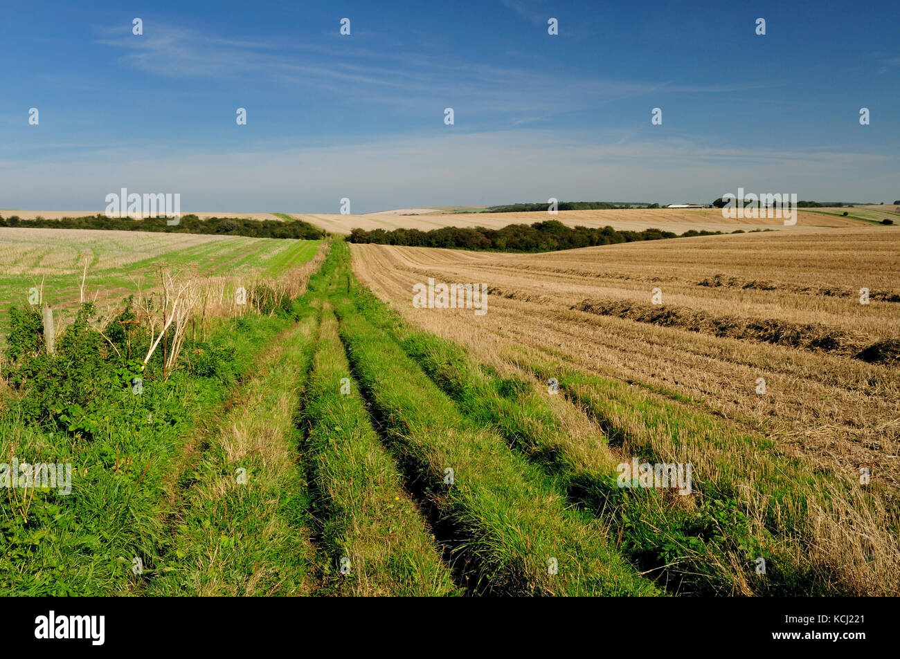 Rutted hi-res stock photography and images - Alamy