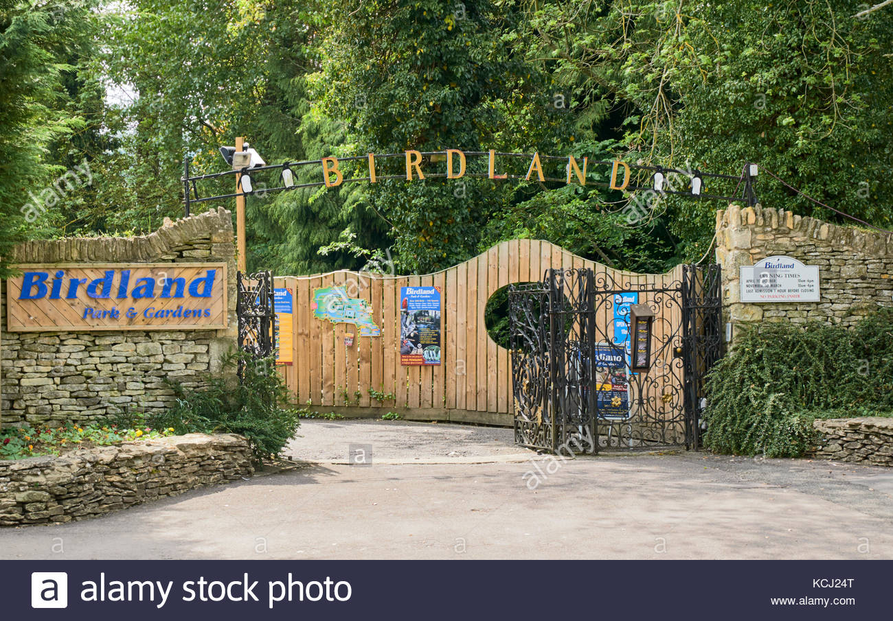 Birdland Cotswolds Stock Photos & Birdland Cotswolds Stock Images - Alamy