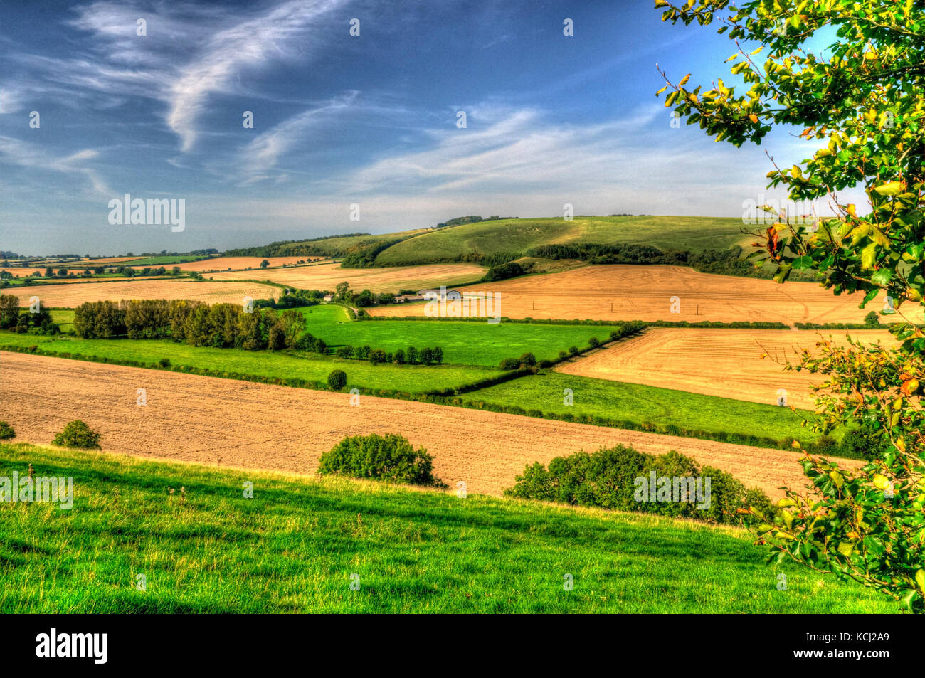 Hedgerows patchwork landscape hi-res stock photography and images - Alamy