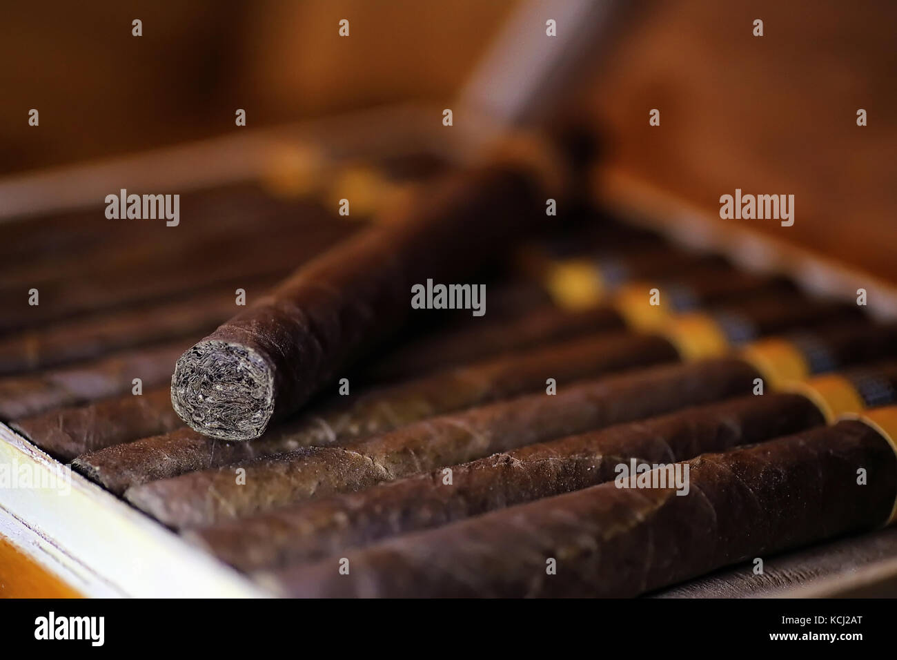 large wooden box of cigars handmade Cuban Stock Photo - Alamy