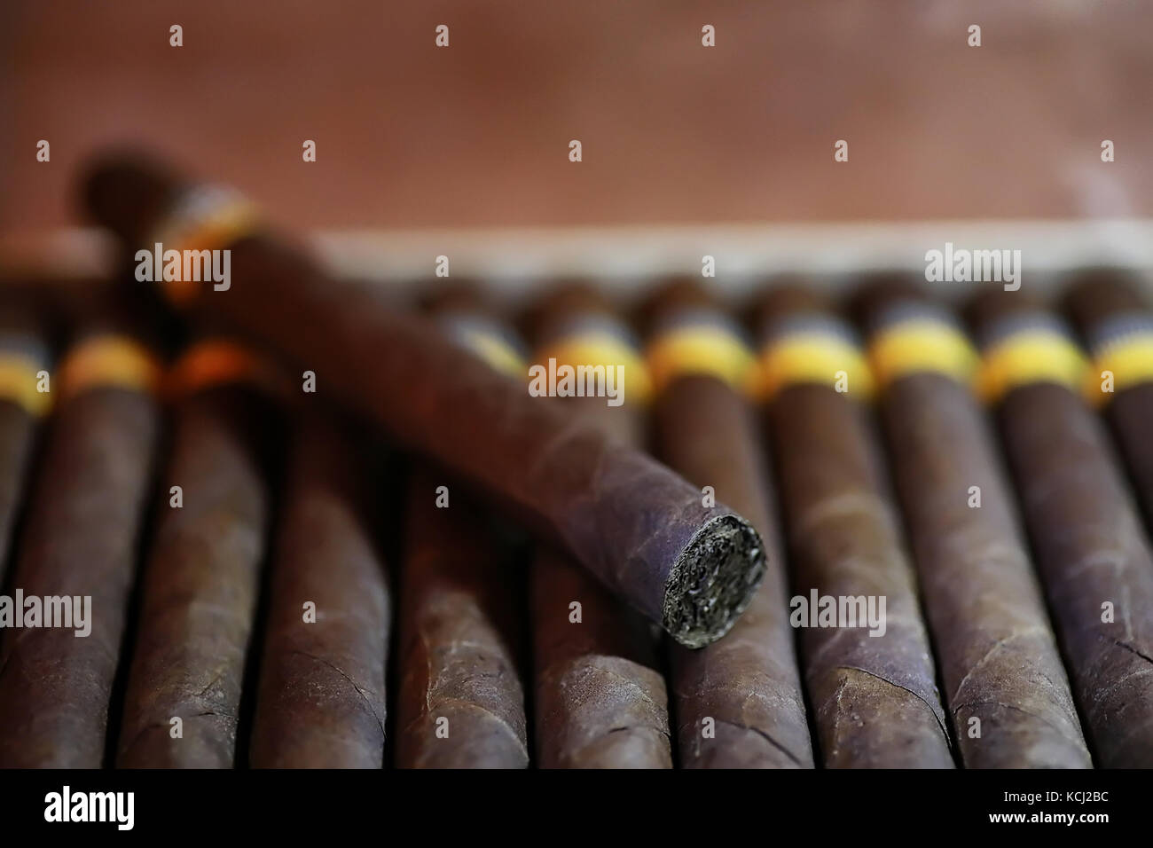 large wooden box of cigars handmade Cuban Stock Photo - Alamy