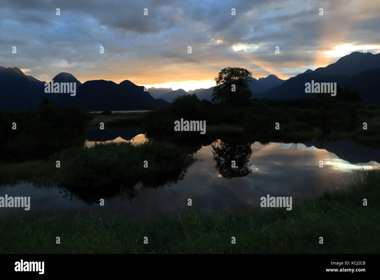 Wetlands sunrise hi-res stock photography and images - Alamy