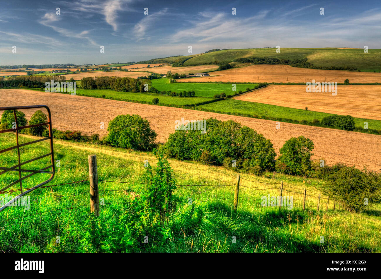 A patchwork of fields and hedgerows in the Wiltshire landscape ...