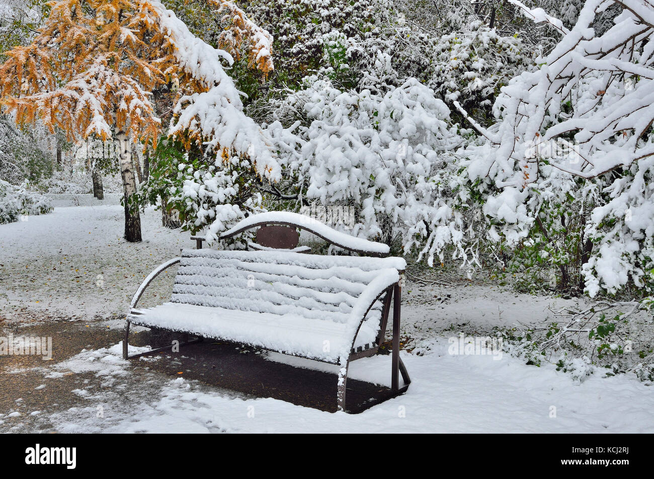First snowfall in the autumn city park - bench and colorful lush ...