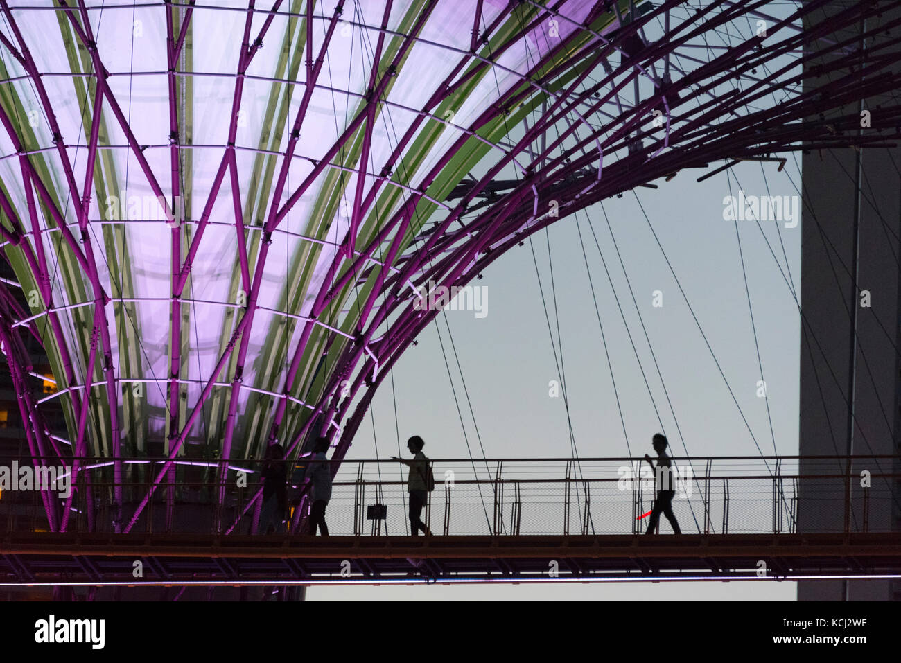 At dusk, a group of visitors meandering 22 metres above ground along ...