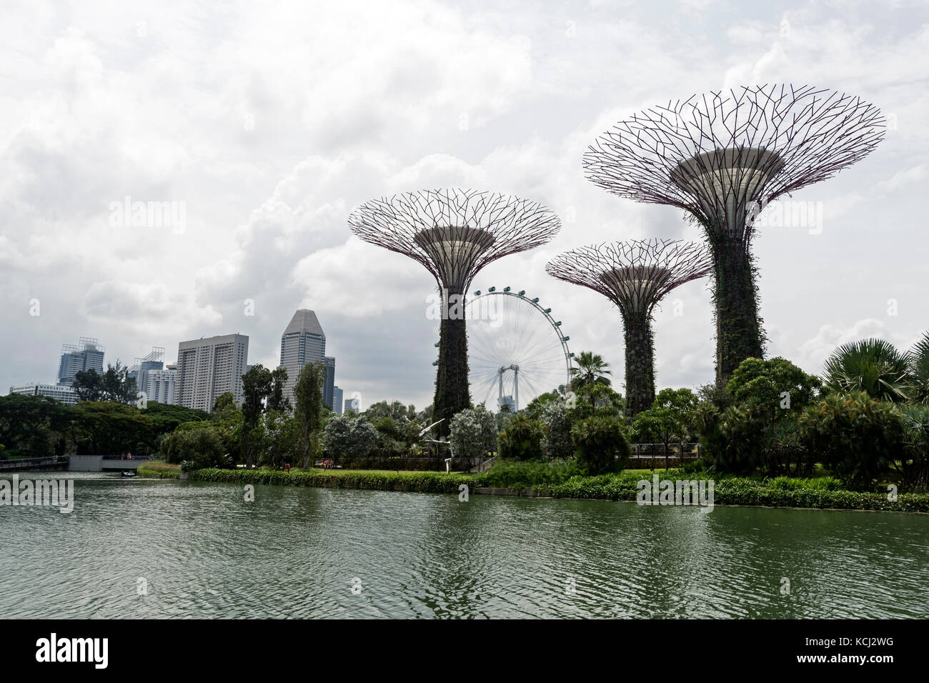 Some of the 18 man-made solar-powered Supertrees from the Dragonfly ...