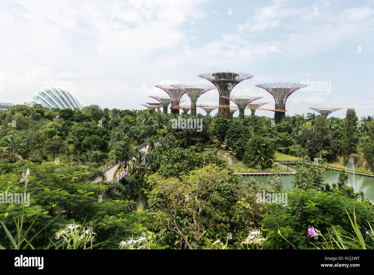 Skyline of 12 of the 18 man-made supertrees and the shell-shaped Flower ...