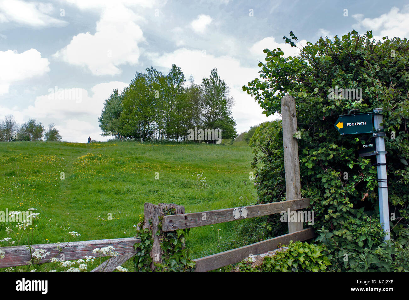 Man walking dog on country footpath in Garsington Oxford Stock Photo ...