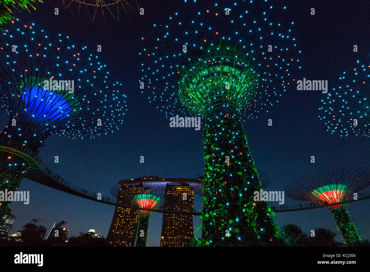 The spectacular Supertrees come alive with a display of the solar ...