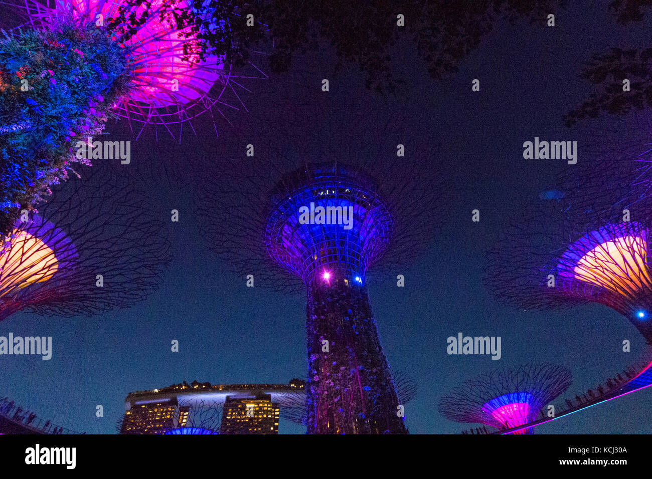 The spectacular Supertrees come alive with a display of the solar ...