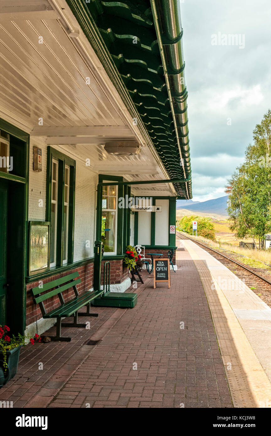 Railway lines run past the gleaming green and white wooden facade of ...