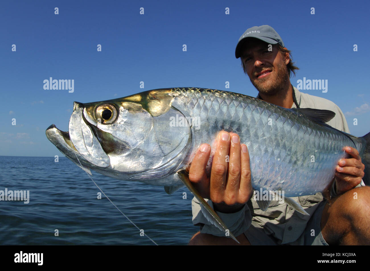 A fisherman holds a juvenile tarpon caught while fly fishing the remote ...