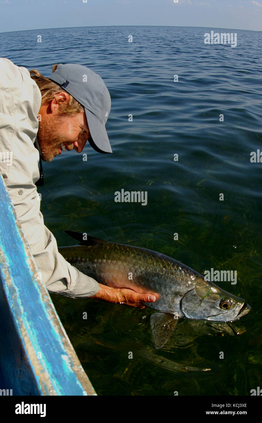 A fisherman holds a juvenile tarpon caught while fishing the remote ...