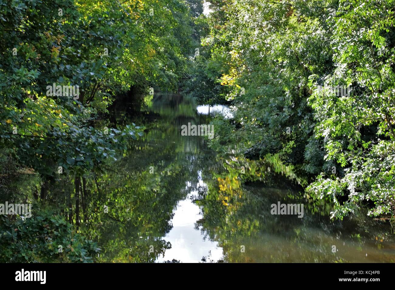 river mole autumn Stock Photo - Alamy
