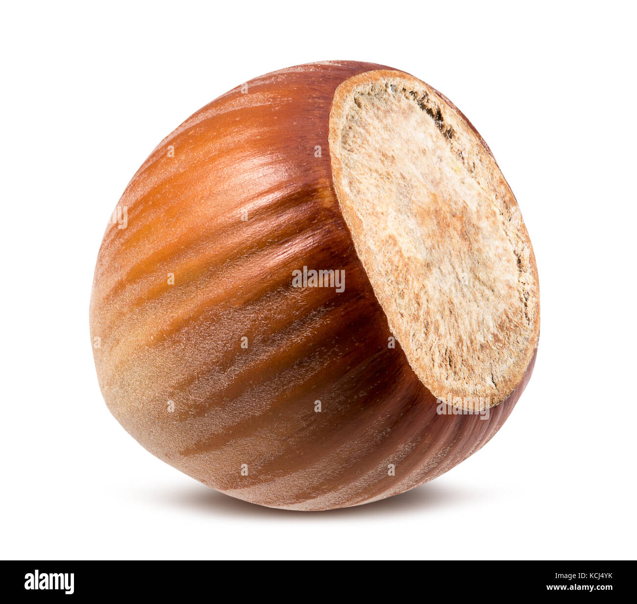 hazelnut isolated on a white background Stock Photo - Alamy