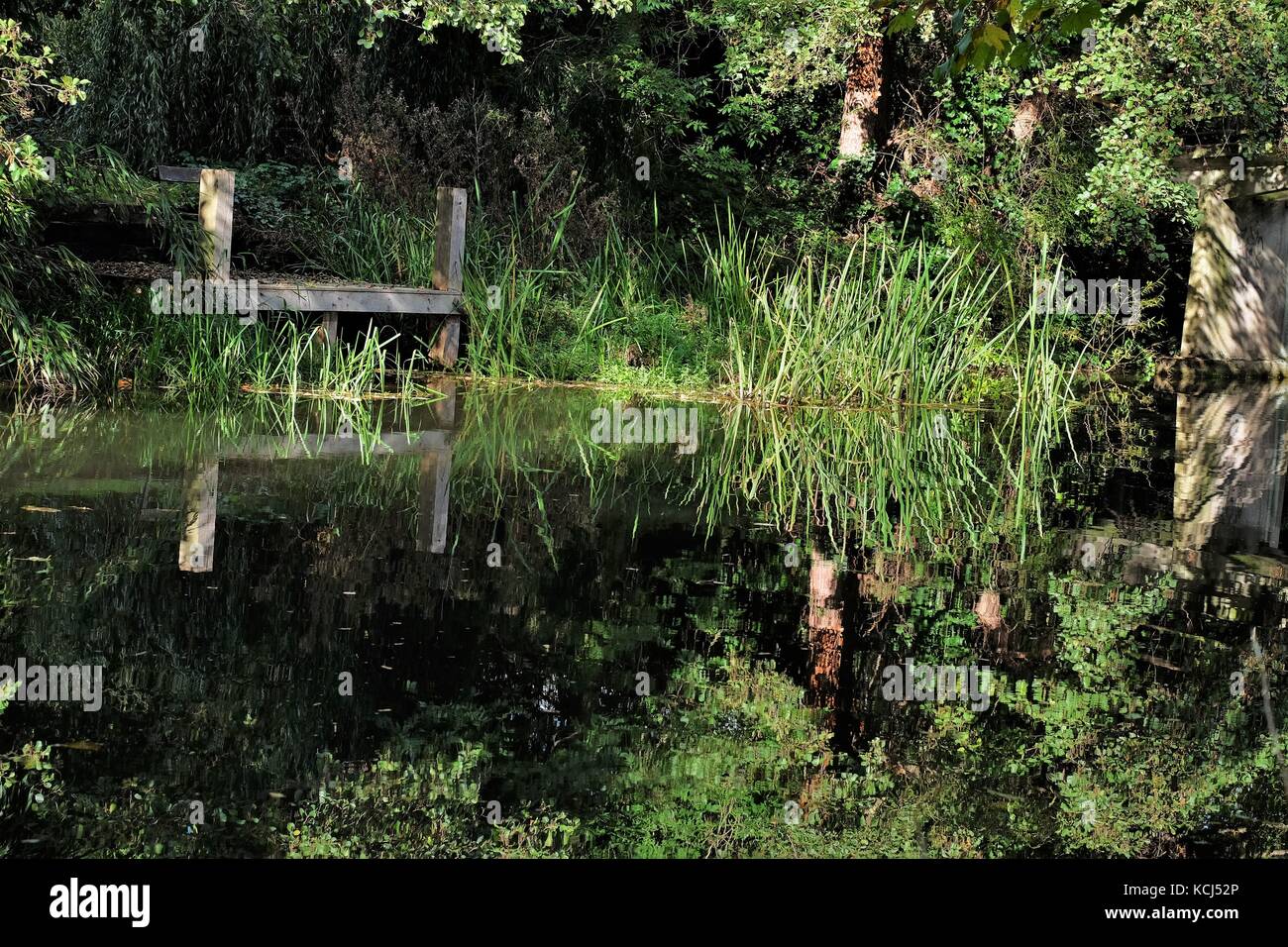 river mole autumn Stock Photo - Alamy