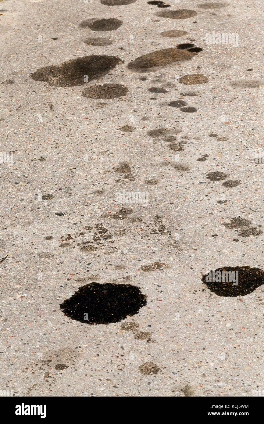 black stains of engine oil on an asphalt road. photo close-up at an ...