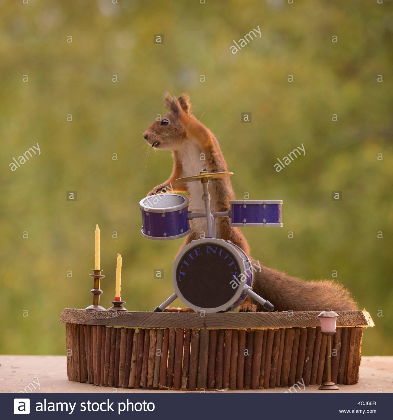 Music Violin Outline Stock Photos & Music Violin Outline Stock Images ...