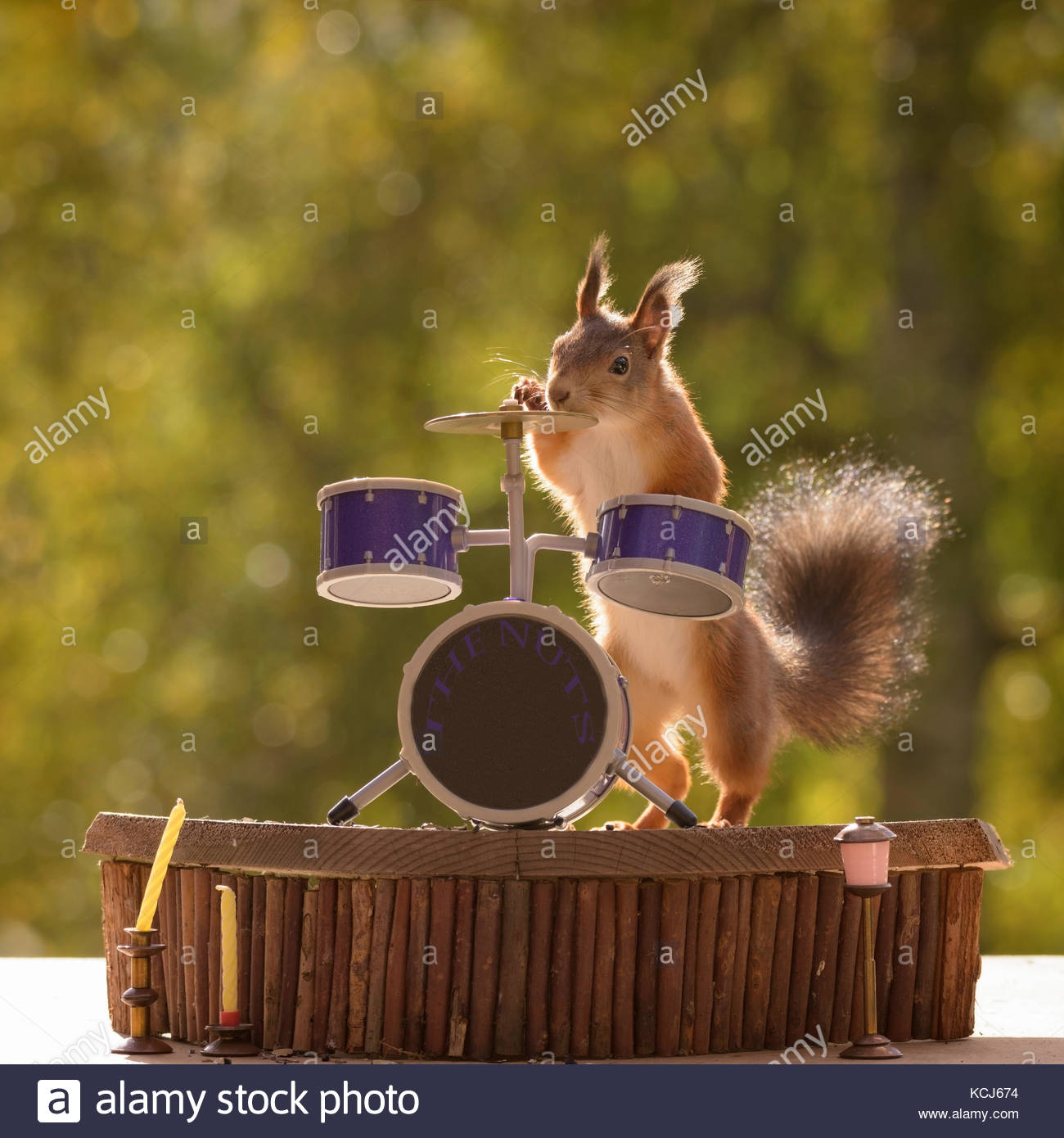 Drum Cut Out High Resolution Stock Photography and Images - Alamy