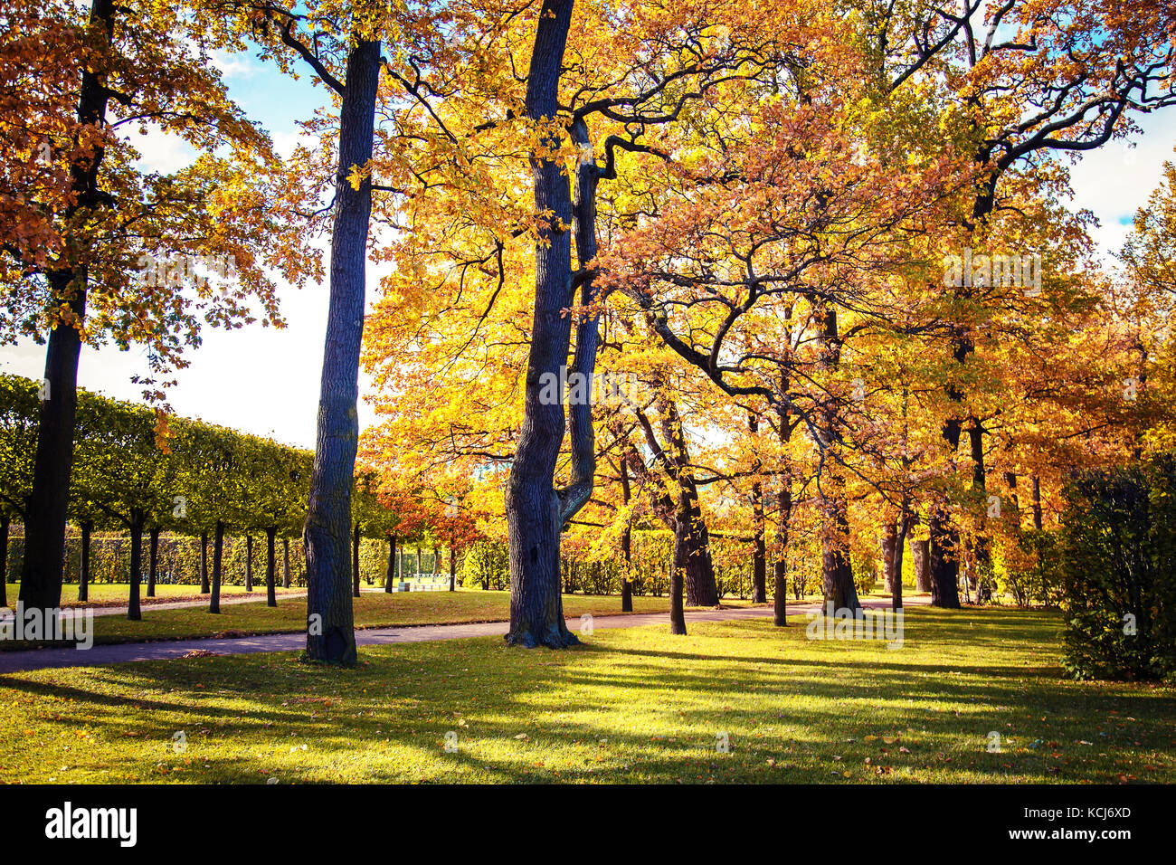 Beautiful autumn park in a suburb of St. Petersburg Stock Photo - Alamy