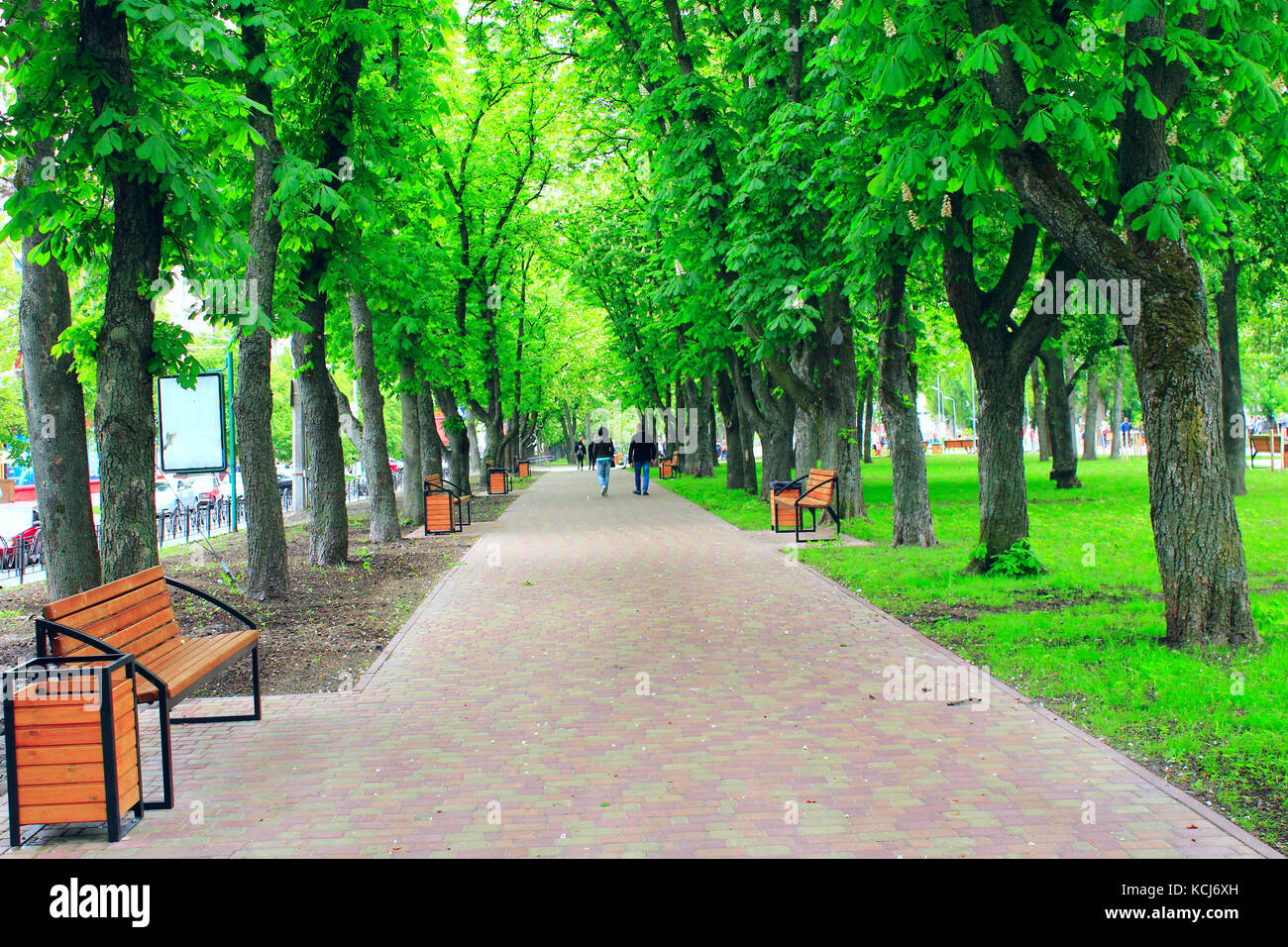 beautiful city park with nice promenade path benches and big green ...