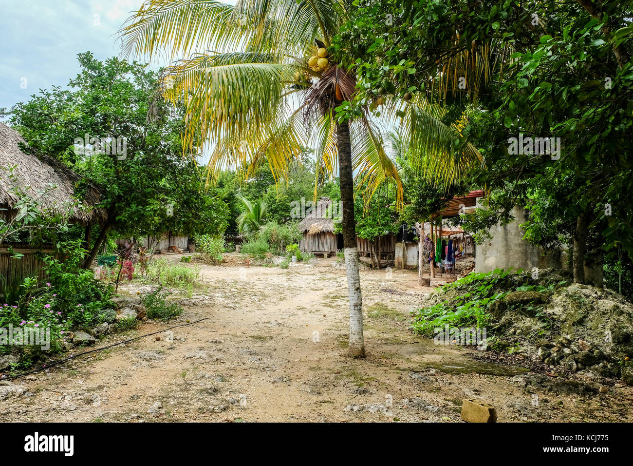 Mayan village and hut in jungle dwelling near Ek Balam Mexico Stock ...