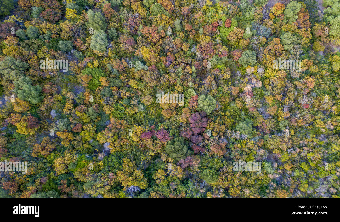 Aerial trees colors hi-res stock photography and images - Alamy