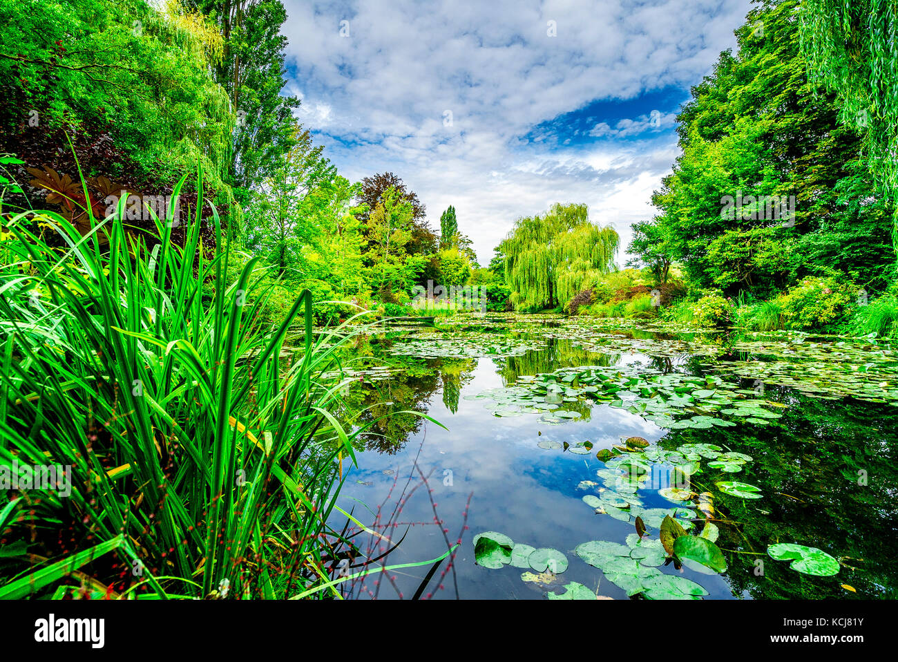 Monet water lily pond hi-res stock photography and images - Alamy