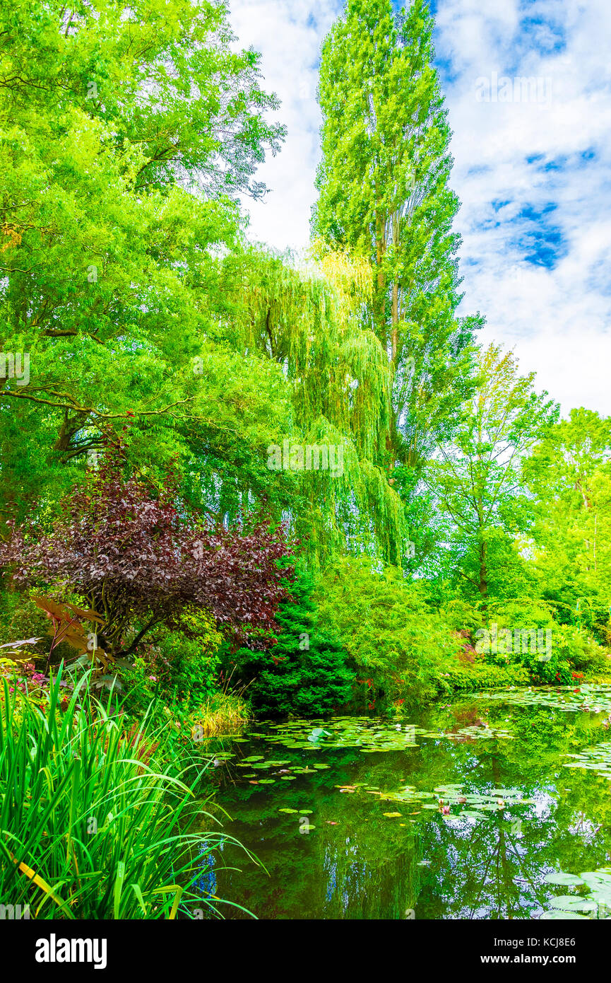 Famous Lily pond in Monet's garden Stock Photo - Alamy