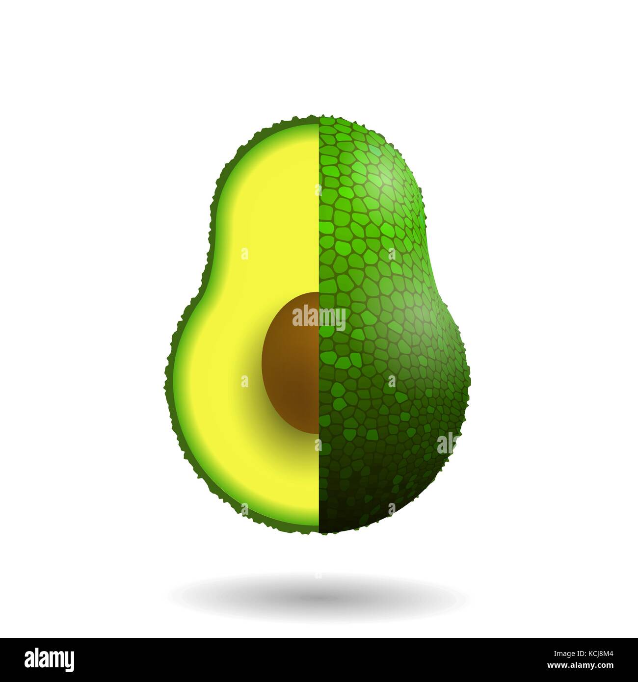 Green Ripe Avocado Fruit Stock Vector Image & Art - Alamy