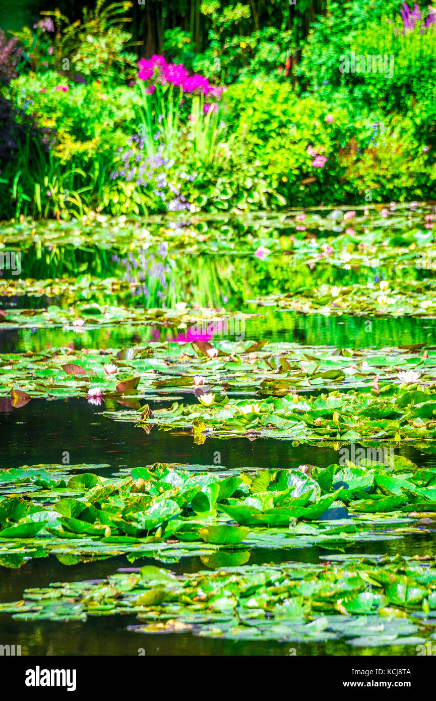 Famous Lily pond in Monet's garden Stock Photo - Alamy