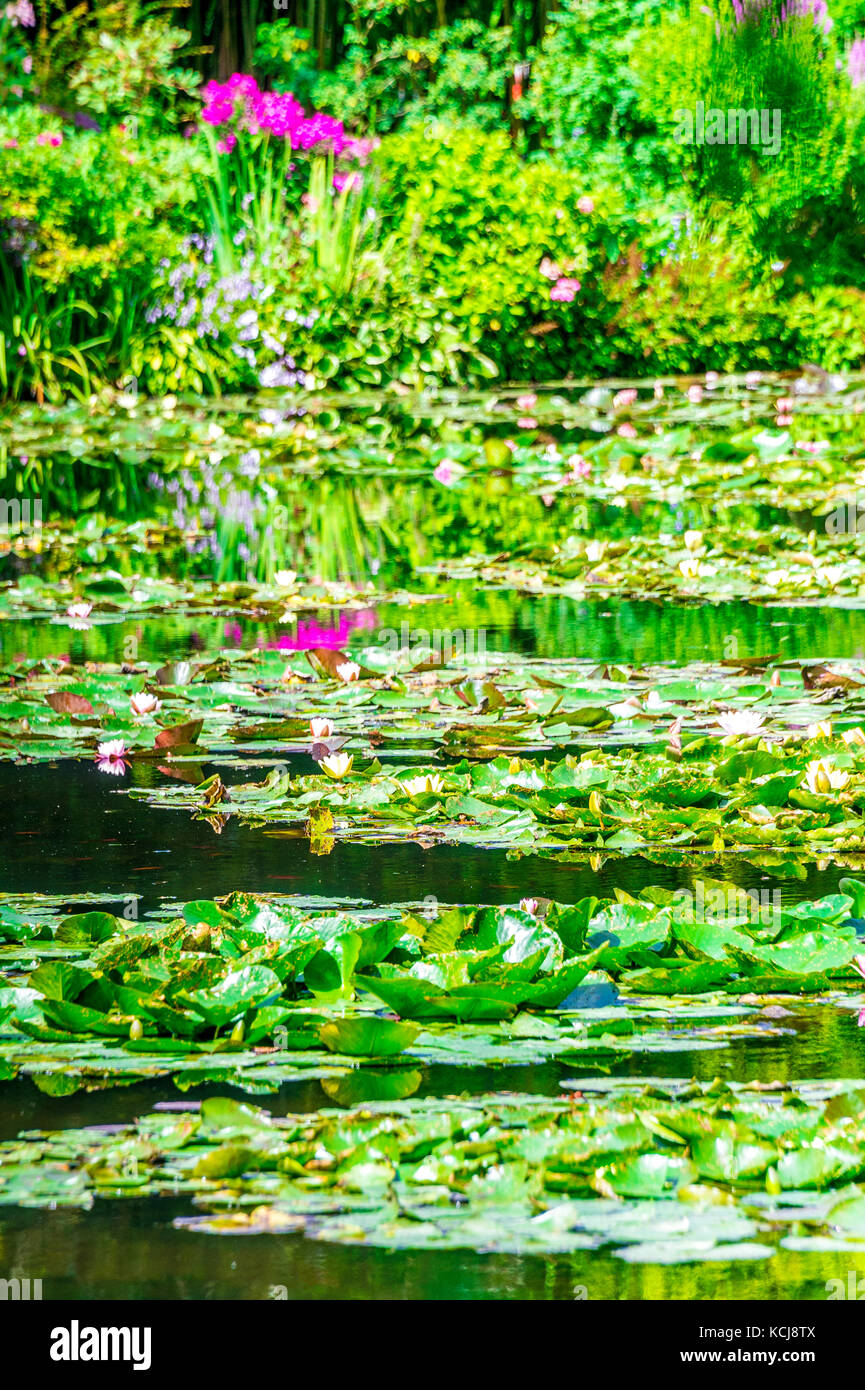 Famous Lily pond in Monet's garden Stock Photo - Alamy