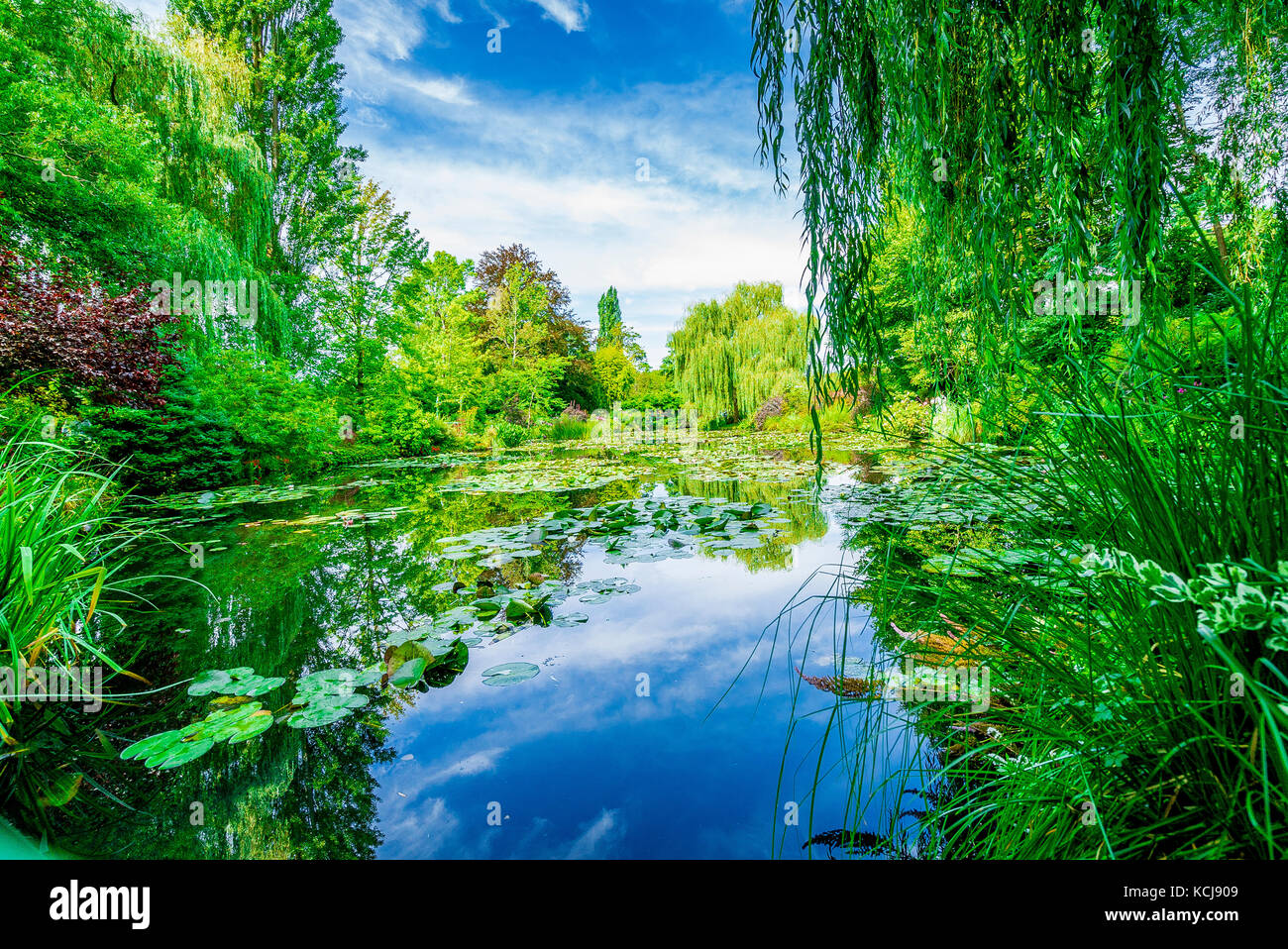Claude monet’s garden hi-res stock photography and images - Alamy
