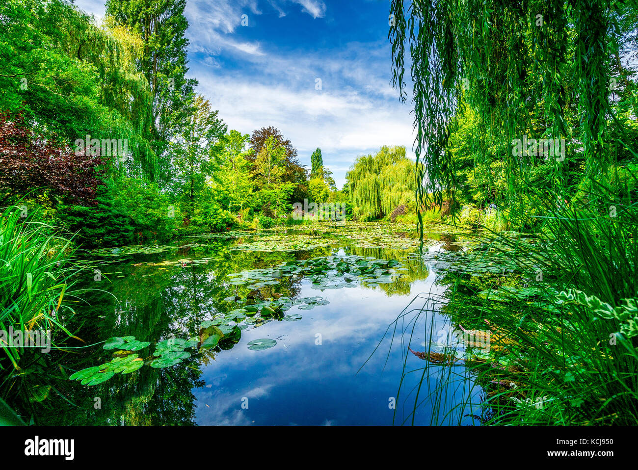 Famous Lily pond in Monet's garden Stock Photo - Alamy
