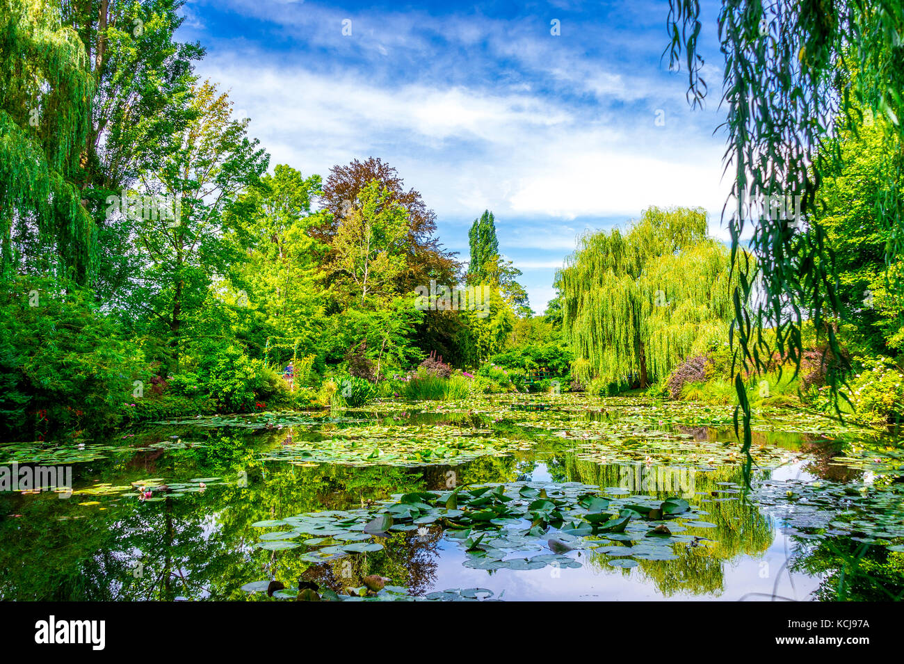 Famous Lily pond in Monet's garden Stock Photo - Alamy