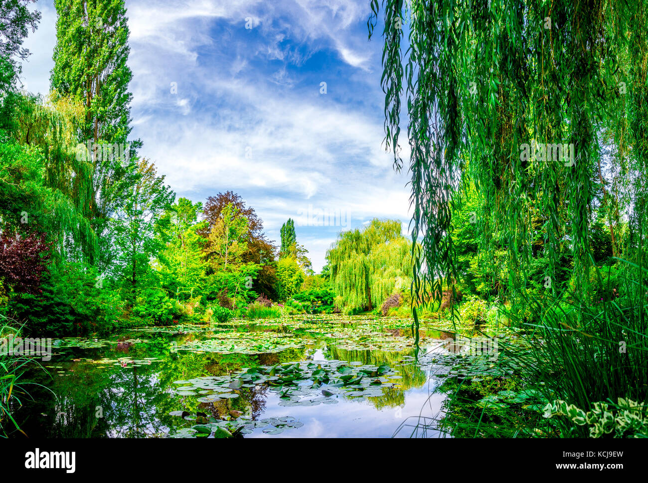 Famous Lily pond in Monet's garden Stock Photo - Alamy