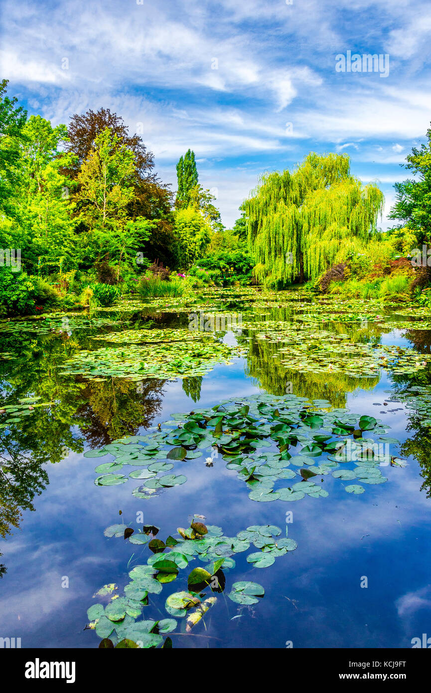 Famous Lily pond in Monet's garden Stock Photo - Alamy