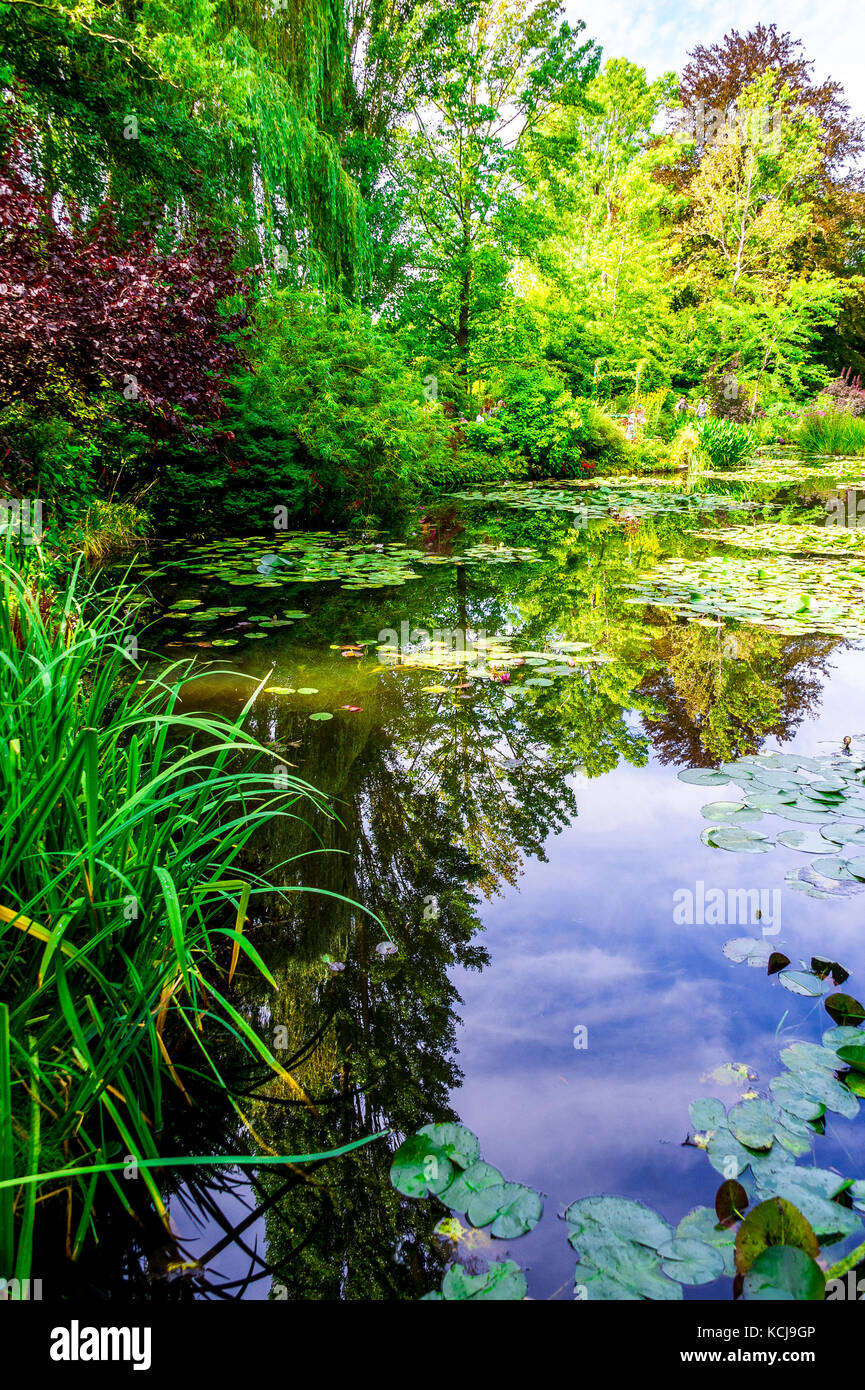 Famous Lily pond in Monet's garden Stock Photo - Alamy