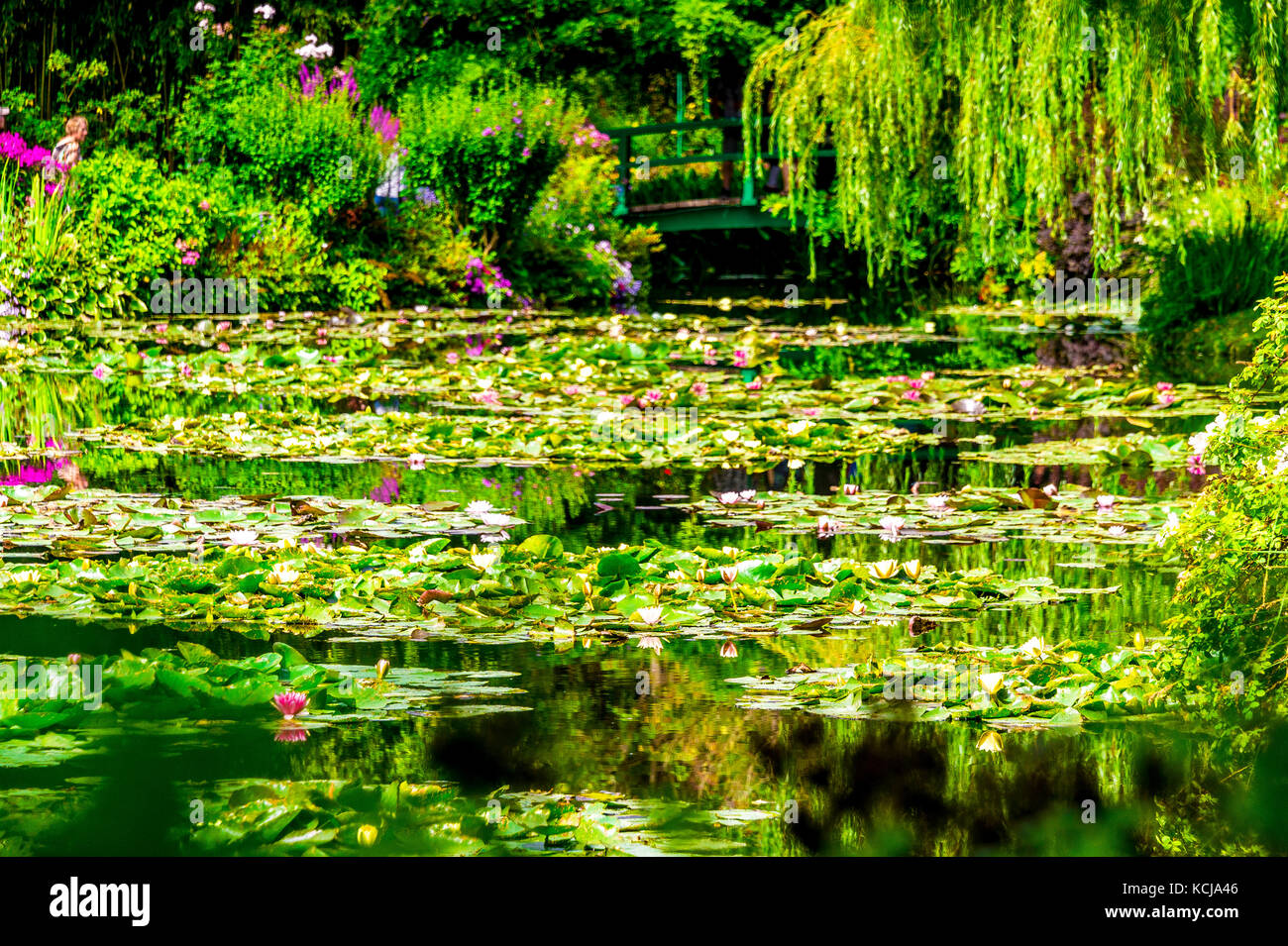 Famous Lily pond in Monet's garden Stock Photo - Alamy