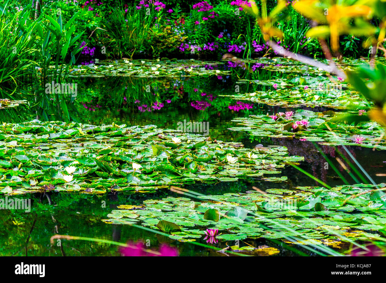 Famous Lily pond in Monet's garden Stock Photo - Alamy