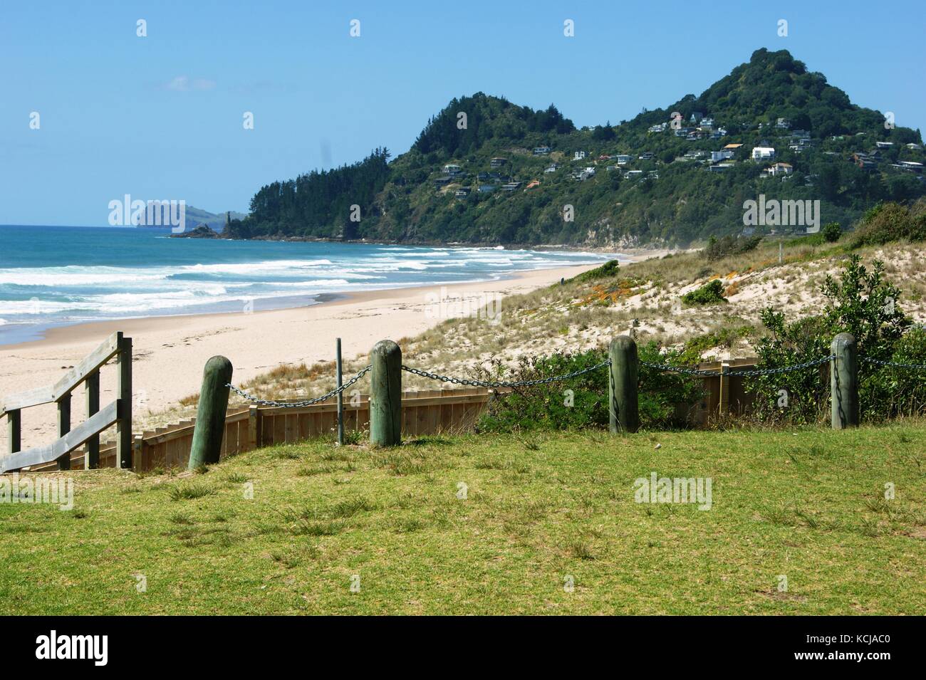 Where Is Cooks Beach New Zealand at Austin Clow blog
