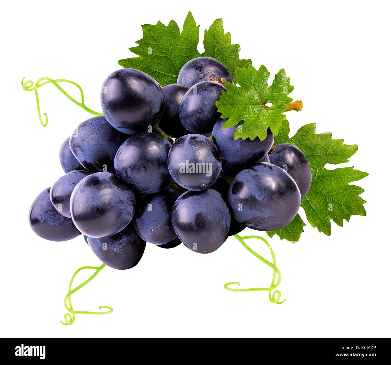 Fresh grapes on market hi-res stock photography and images - Alamy
