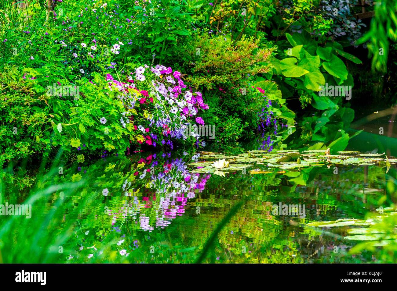 Famous Lily pond in Monet's garden Stock Photo - Alamy