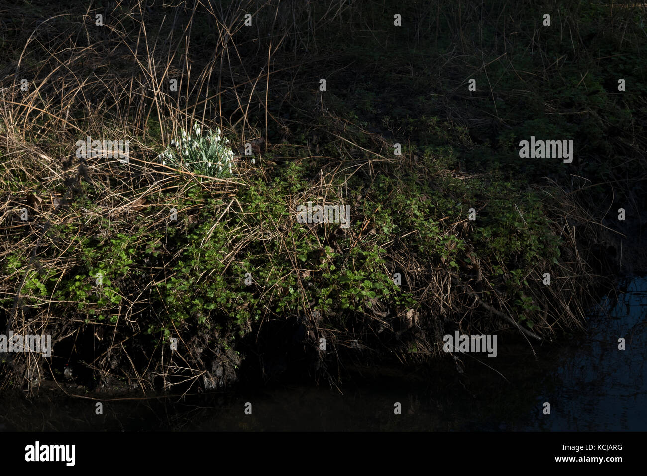 Bank snow hi-res stock photography and images - Alamy