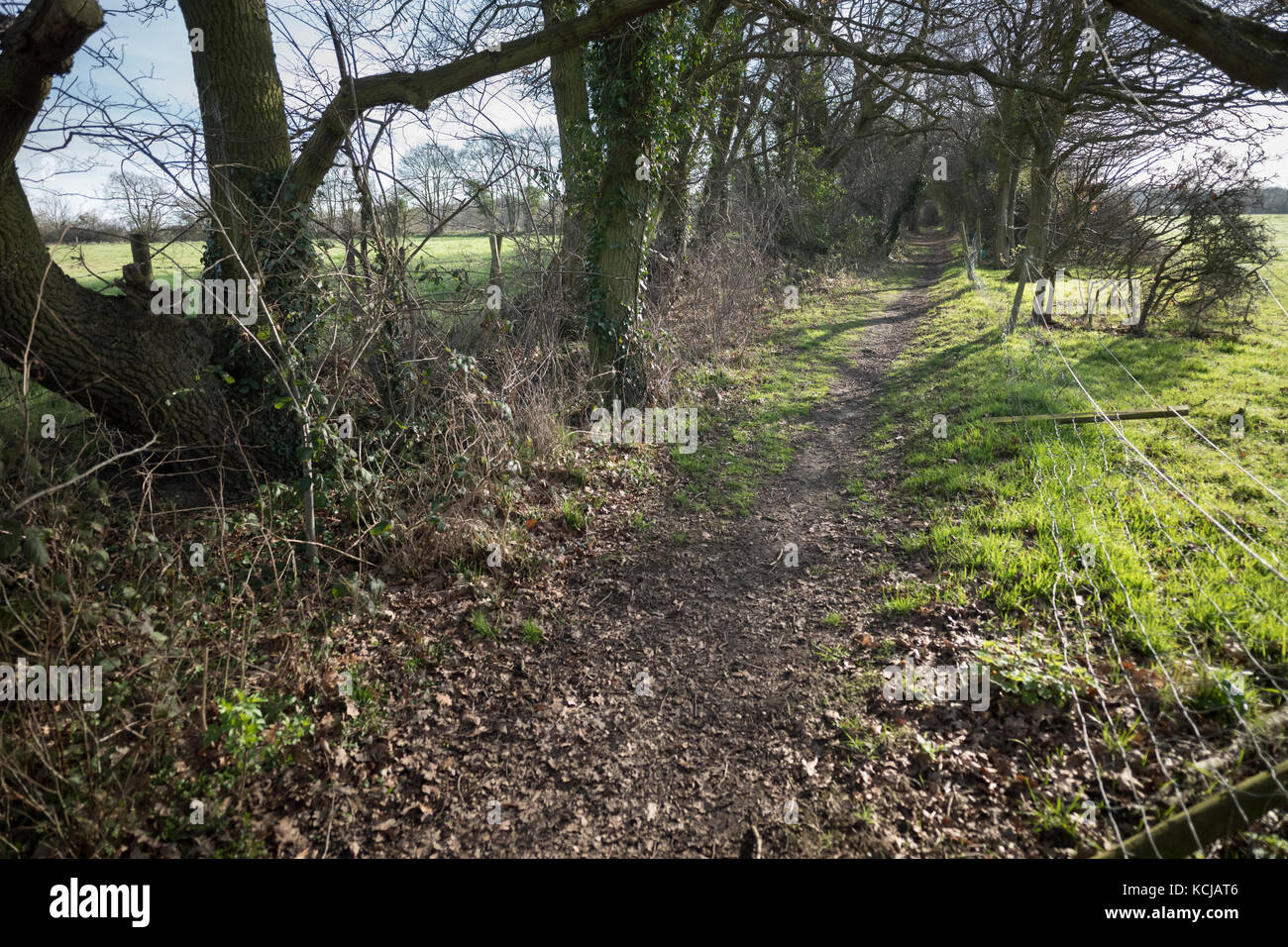 Baddow essex hi-res stock photography and images - Alamy