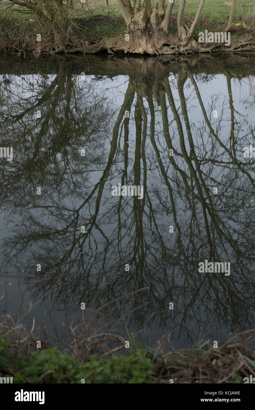 Chelmer and blackwater navigation hi-res stock photography and images ...