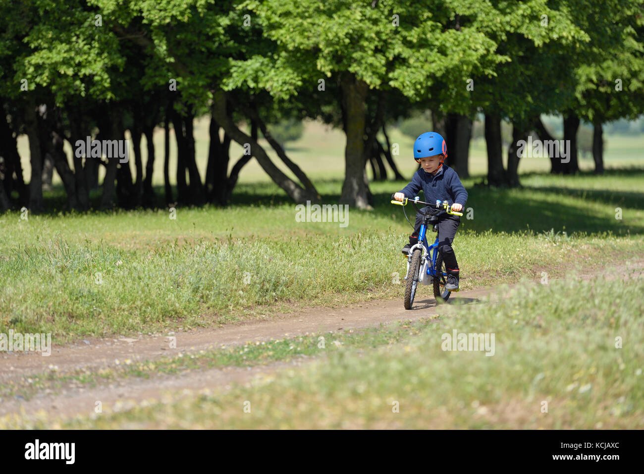 Happy kid boy of 5 years having fun in spring forest with a bicycle on ...
