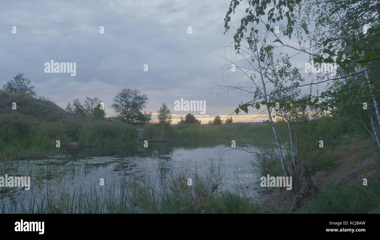 Misty morning on swamp at dusk in spring. Swamp at dusk Stock Photo - Alamy