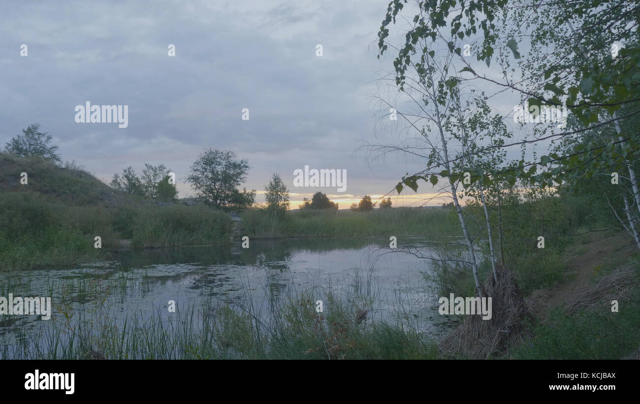 Misty morning on swamp at dusk in spring. Swamp at dusk Stock Photo - Alamy