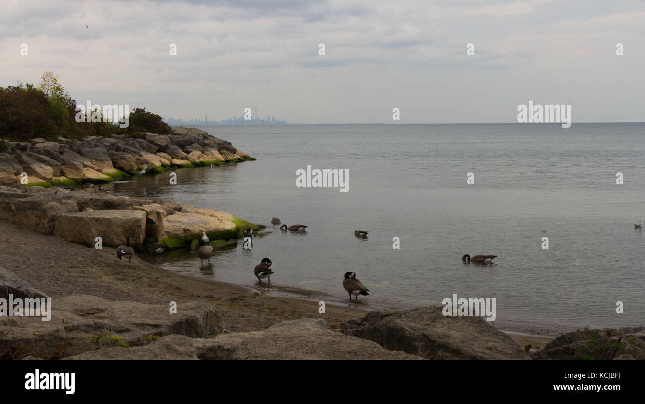 Shoreline With Rocks Stock Photo - Alamy